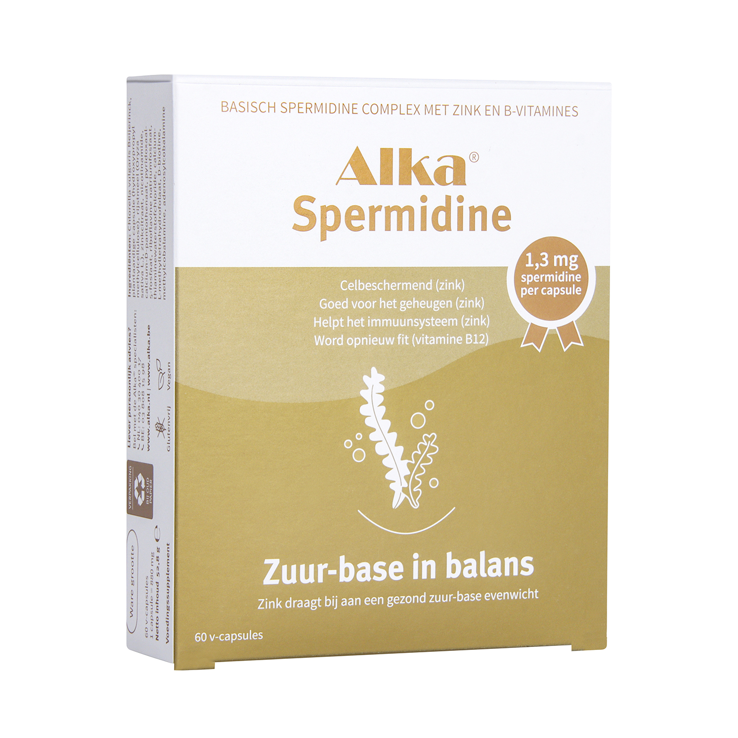 Basisch spermidine-complex
